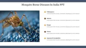 Malaria PowerPoint Template Free Download Google Slides