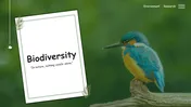 Biodiversity Research PPT And Google Slides Templates