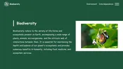 Biodiversity Research PPT And Google Slides Templates