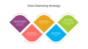 Shop This Data Cleansing Process PPT And Google Slides
