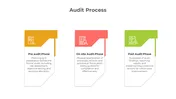 Download The Audit Process PPT And Google Slides Theme