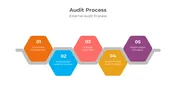 Download The Audit Process PPT And Google Slides Theme