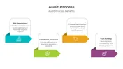 Download The Audit Process PPT And Google Slides Theme