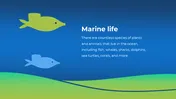 Ocean Themes PowerPoint And Google Slides Templates