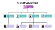 Team Structure Chart Presentation And Google Slides