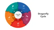 Use This Dragonfly Cycle PowerPoint And Google Slides