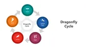 Use This Dragonfly Cycle PowerPoint And Google Slides