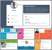 Professional Portfolio Template Slide - Bubble Model