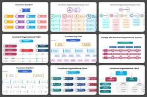 Functional Organizational Structure PPT, Canva, And Google Slides