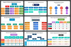 Matrix Organizational Chart PPT, Canva and Google Slides