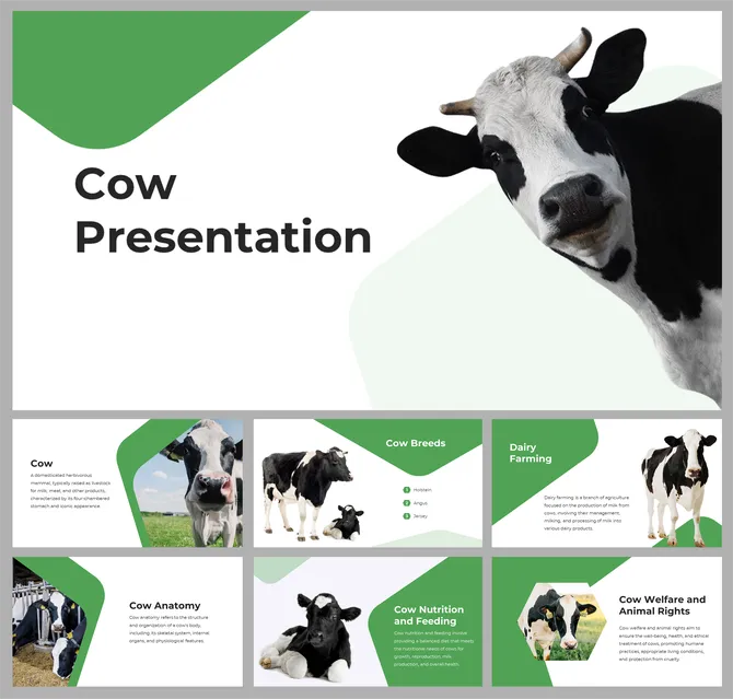 Cow 04 Powerpoint Template