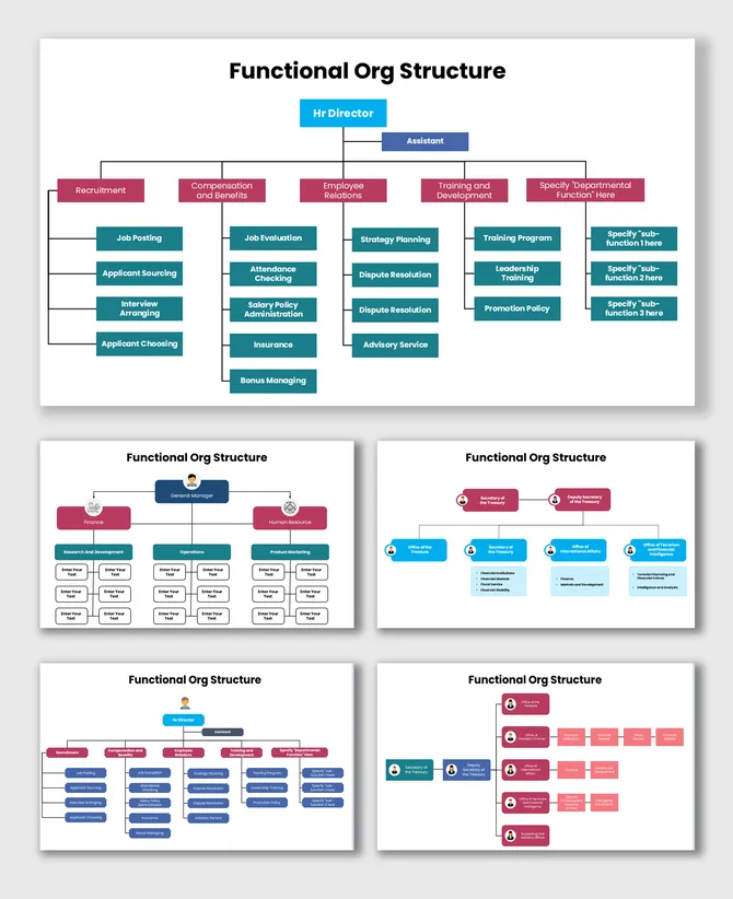 Functional Organizational Structure In Healthcare