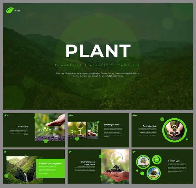 Ppt Diversity Of Plants Powerpoint Presentation Free Download Id