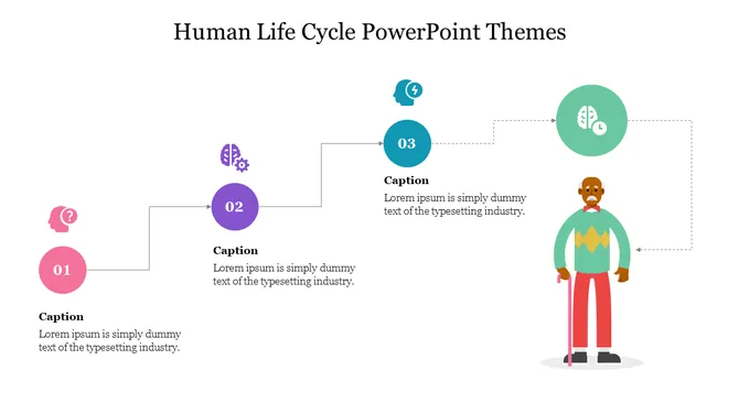 8th Gradech 7 Sec 3 The Human Life Cycle Ppt Powerpoint