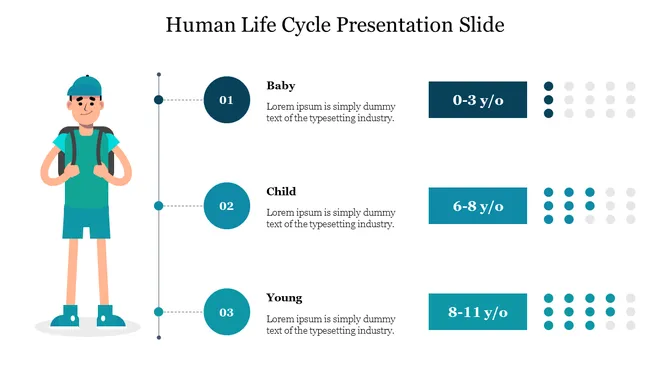 8th Gradech 7 Sec 3 The Human Life Cycle Ppt Powerpoint
