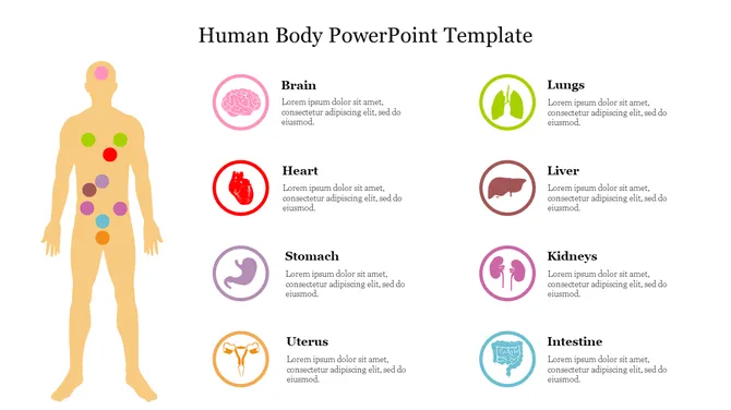 Free Parts of the Body Google Slides & PowerPoint Templates