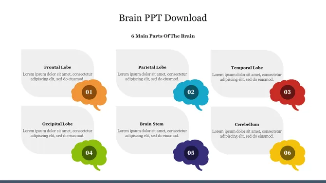 Brain Stem Anatomy Ppt Brainstem PowerPoint Templates