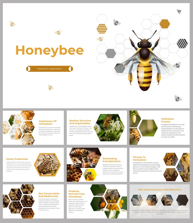 Spelling Bee Powerpoint Template Jcs Spelling Bee Power Point